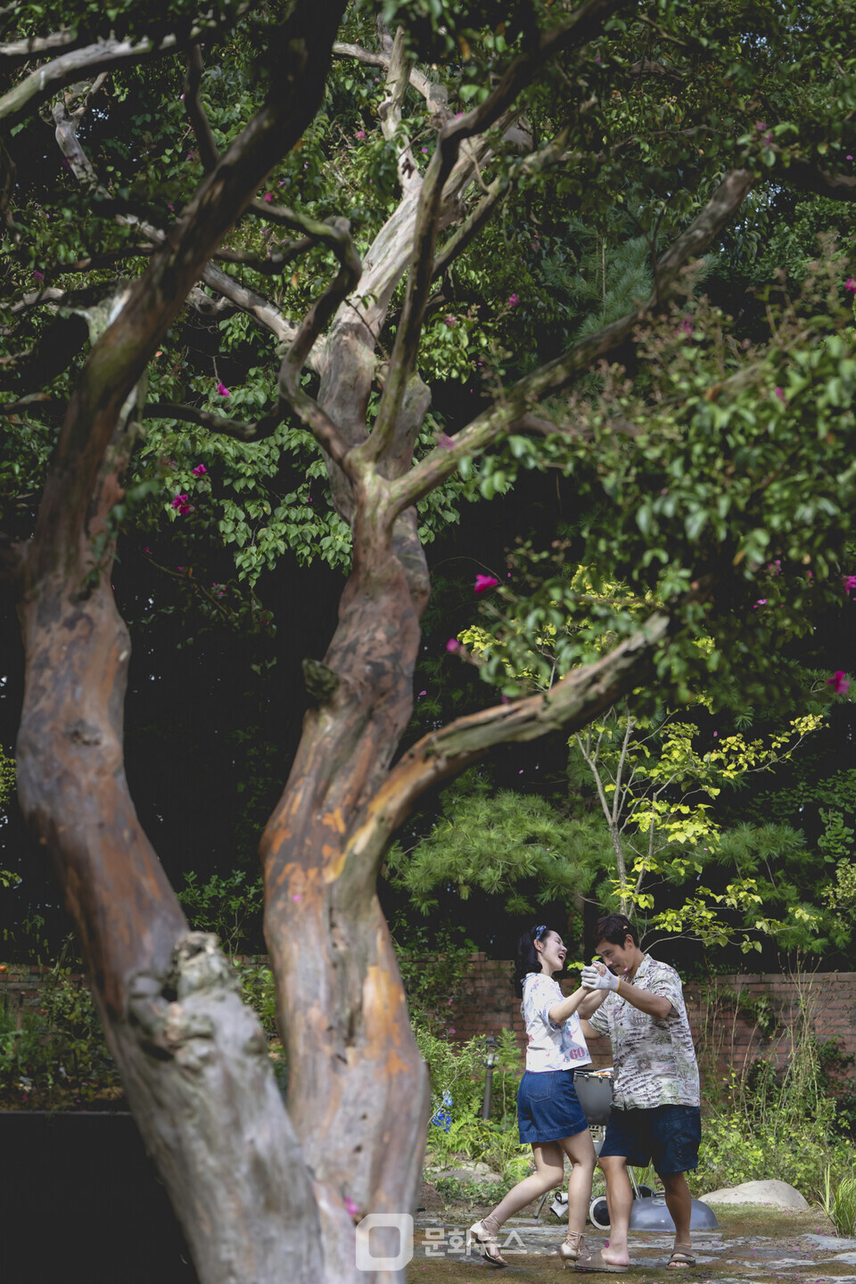 영화 '어쩔수가없다', 박찬욱 감독 신작 크랭크업