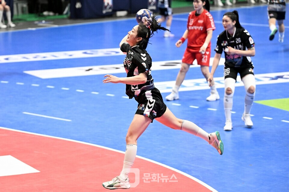 H리그 서울시청·대구광역시청, 25-25 무승부…연패 탈출하며 순위 다툼 이어가