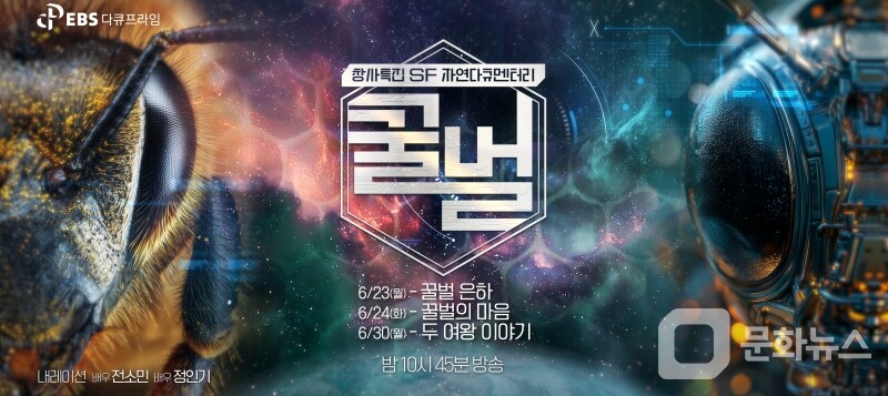 EBS 다큐프라임, '창사특집 SF 자연다큐멘터리 꿀벌' 3부작 방송