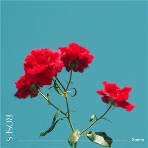 Somm(솜), 몽환적인 보이스의 신곡 ‘ROSES’ 발표